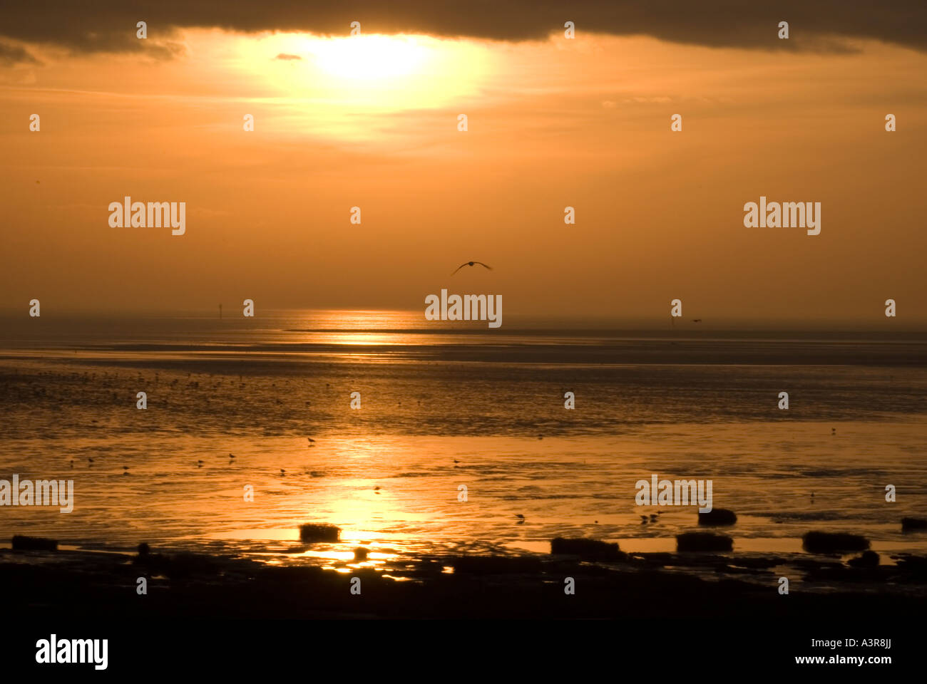 Sunset at Fairhaven nature reserve Lancashire UK Stock Photo - Alamy