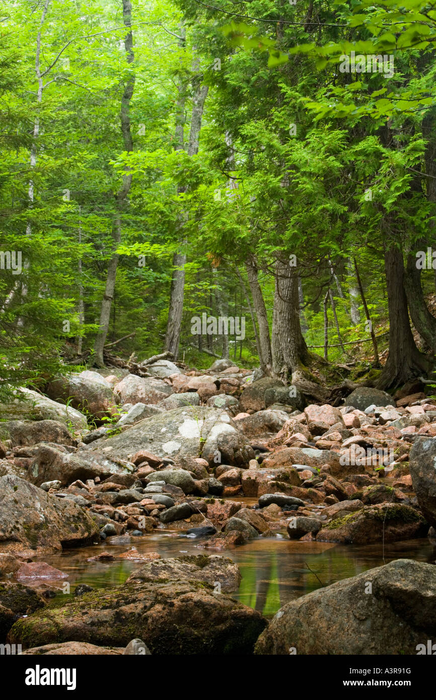 Little Harbor Brook in Acadia National Park Maine USA Stock Photo - Alamy