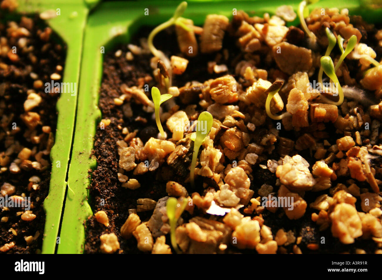 Compost and grit hi-res stock photography and images - Alamy