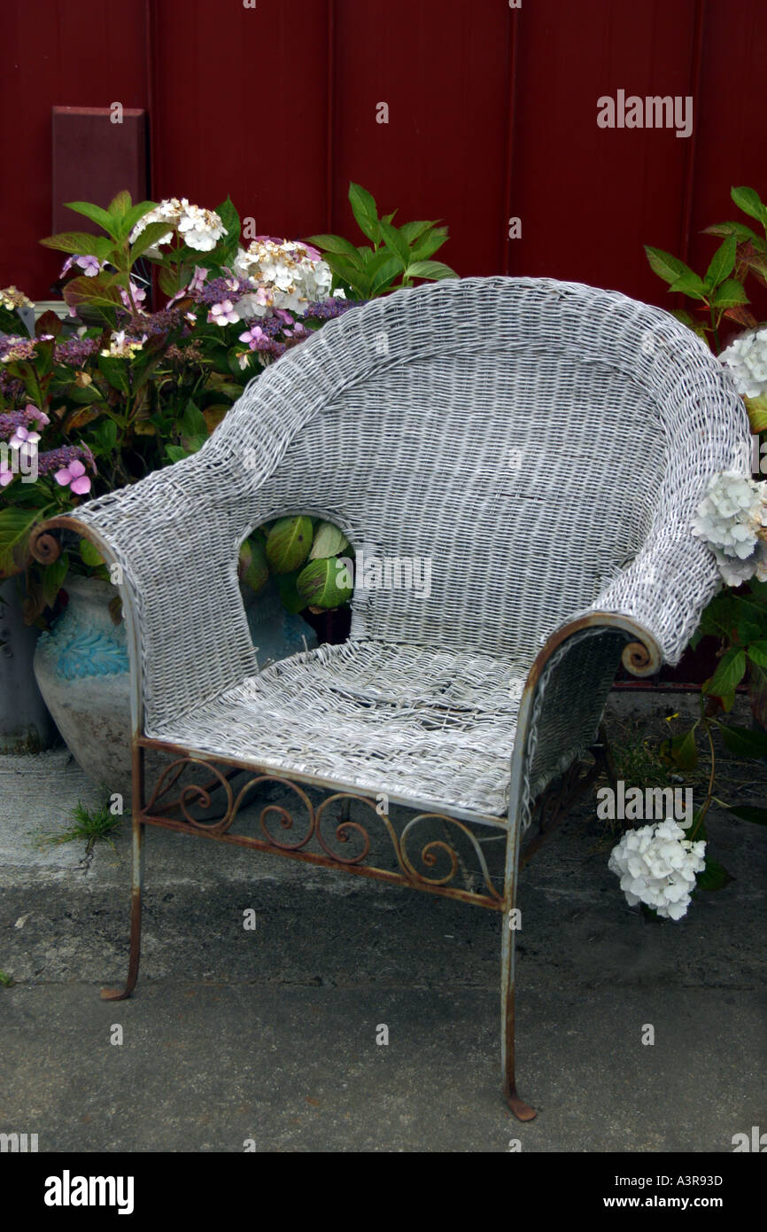 Wicker chair and hydrangea blossoms Stock Photo - Alamy