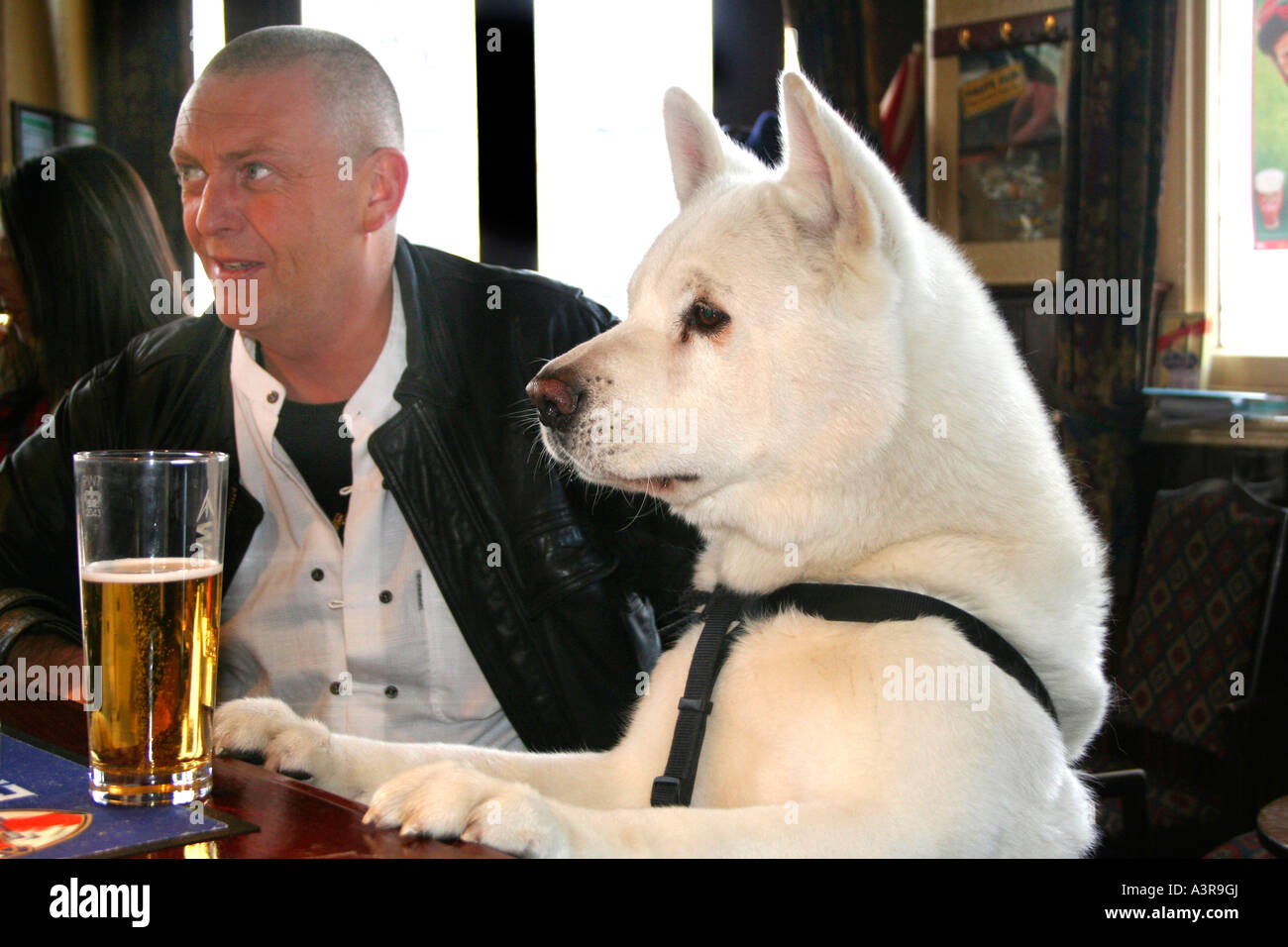 wolfing down a drink Stock Photo - Alamy