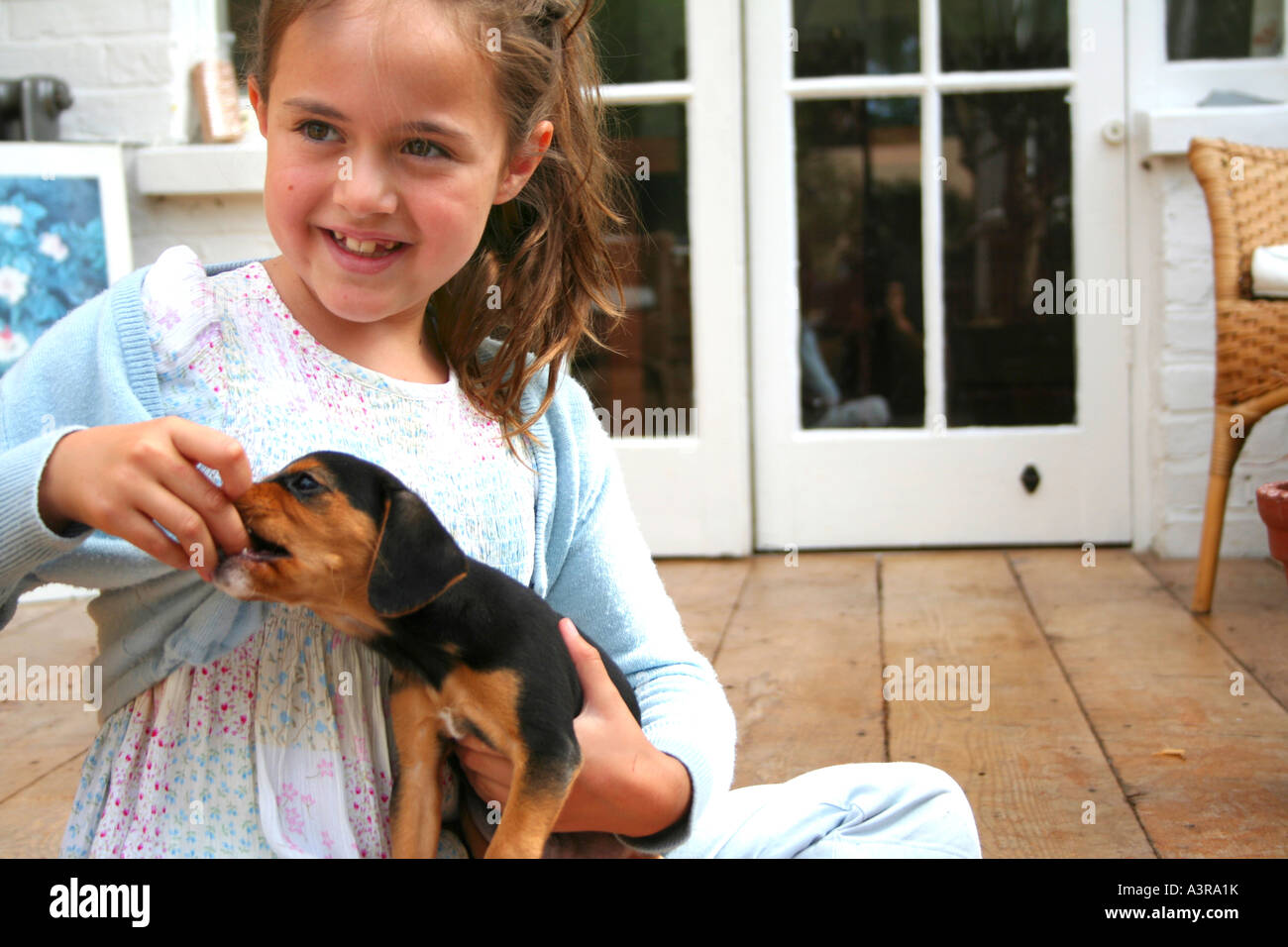 puppy nipping a little girl Stock Photo - Alamy