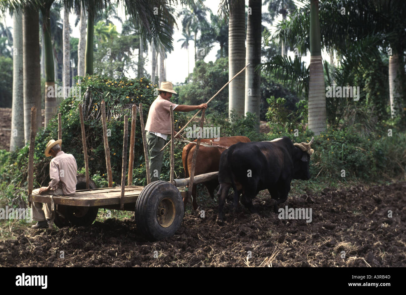 Farmers collective hi-res stock photography and images - Alamy