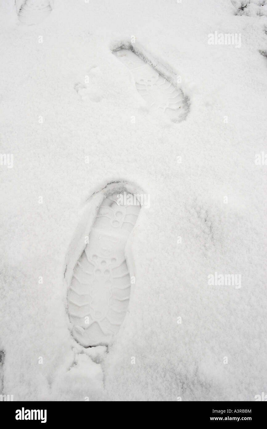 footprints in snow Stock Photo - Alamy