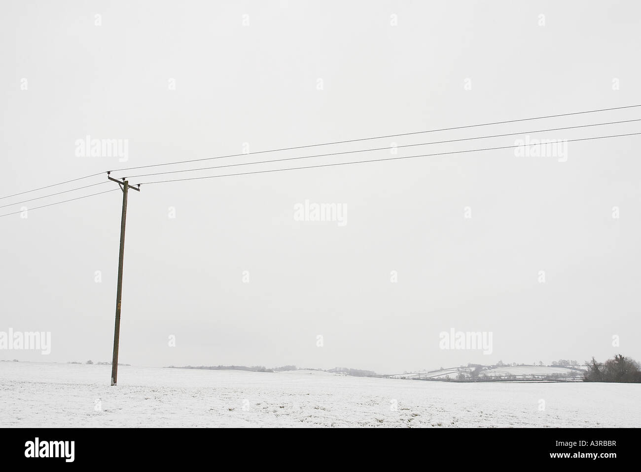 telegraph telephone poles in snow Stock Photo - Alamy