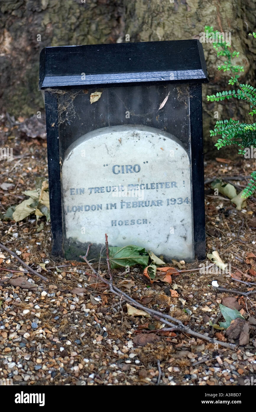 Gyro the Nazi Dog Gravestone London England UK Stock Photo - Alamy