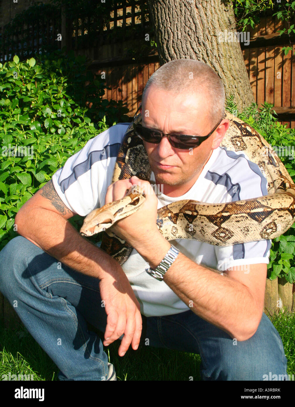 tough man holding a snake Stock Photo - Alamy