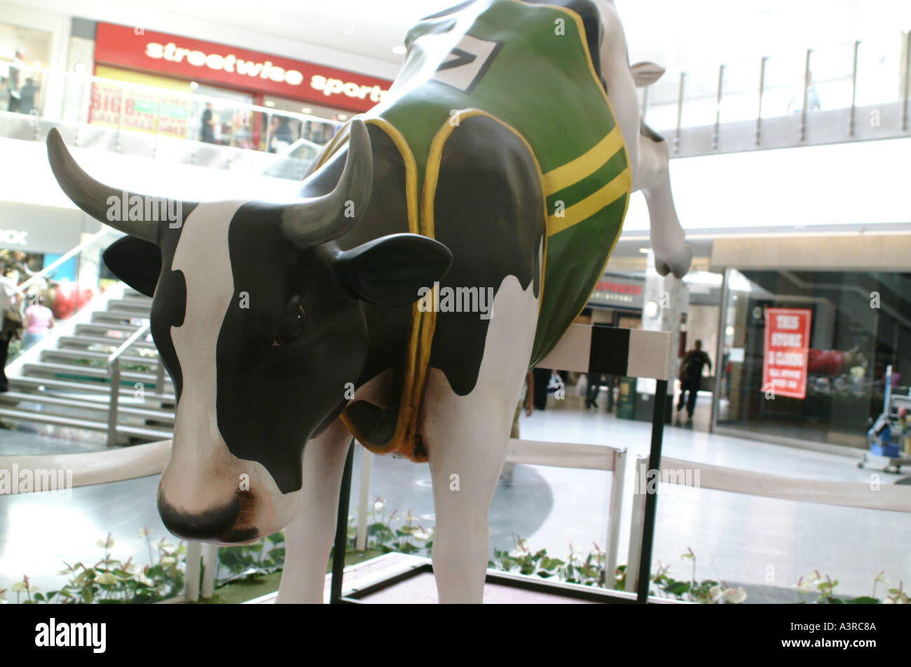 Manchester Cow Parade Stock Photo - Alamy