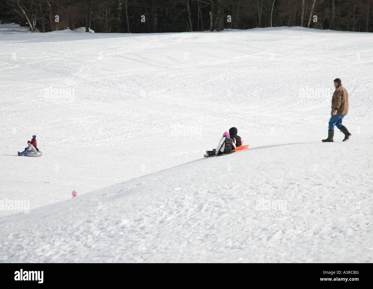 Children sledding down a hill Stock Photo - Alamy