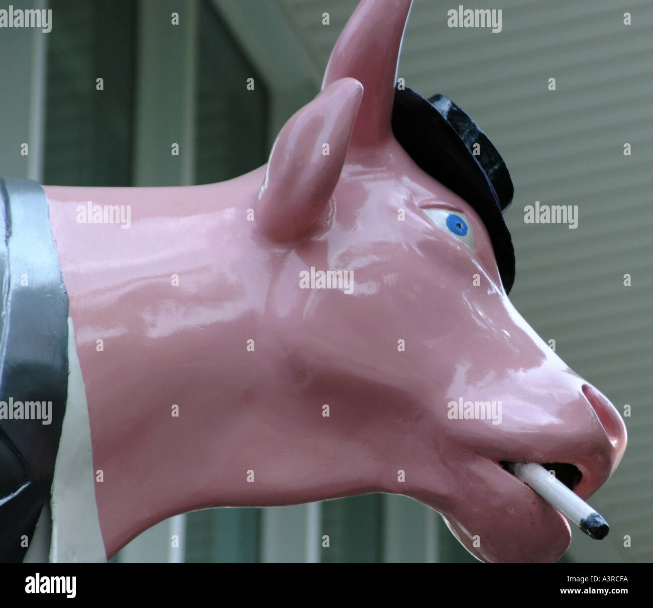 Cow Parade Manchester Stock Photo - Alamy