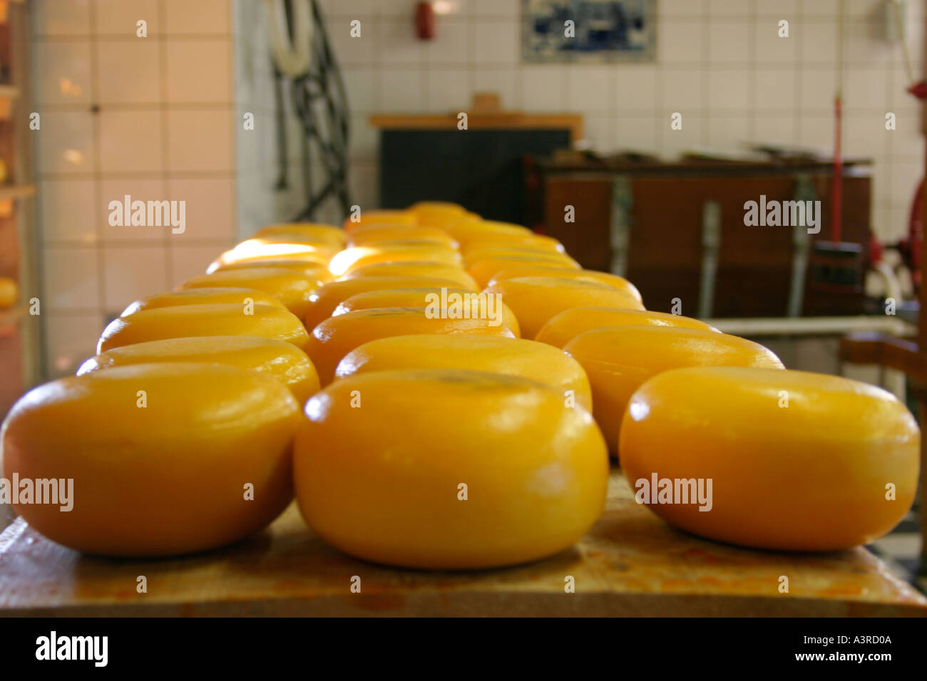 Dutch Cheeses Zaans museum Netherlands Stock Photo - Alamy