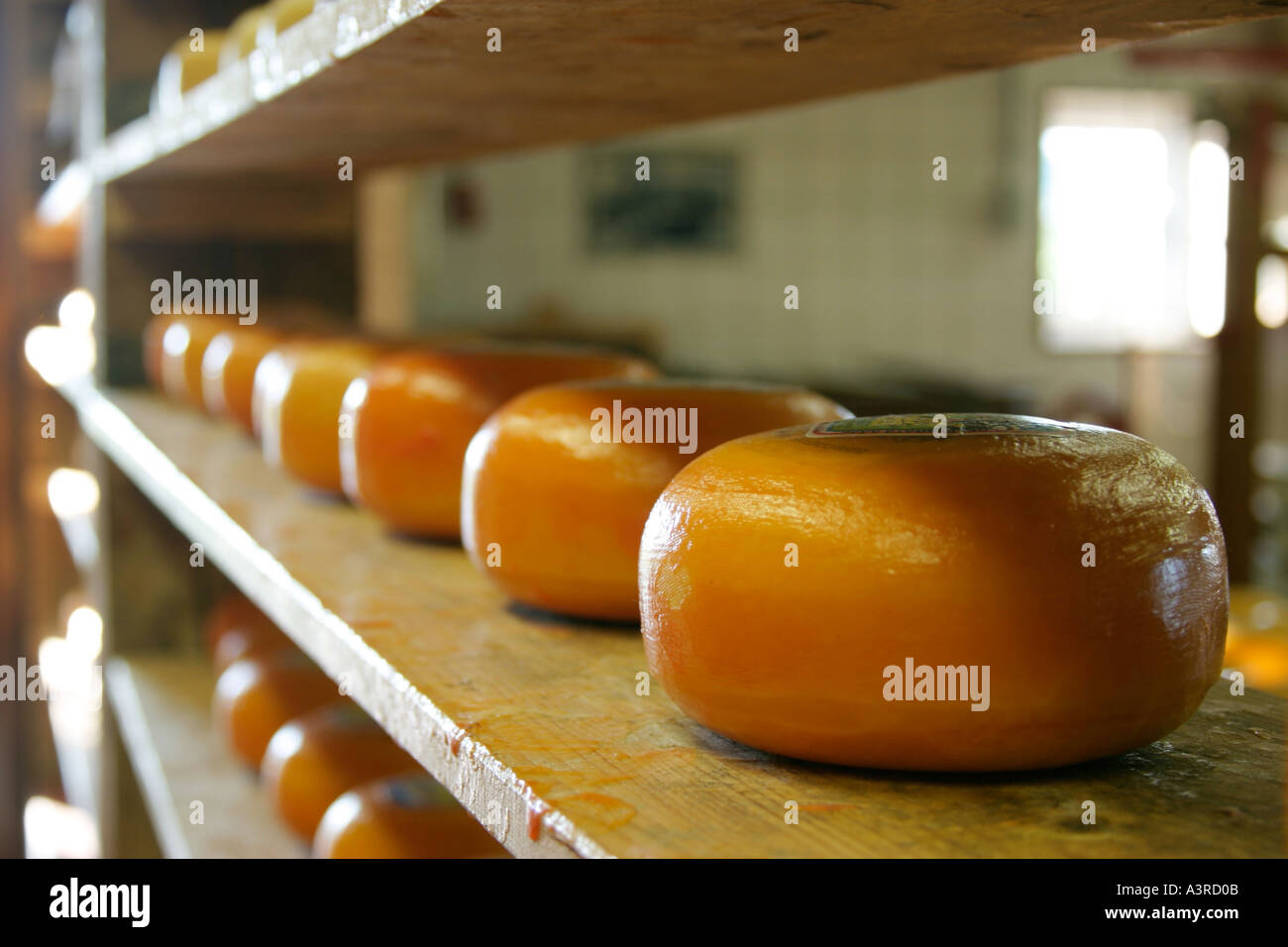 Dutch Cheeses Zaans museum Netherlands Stock Photo - Alamy