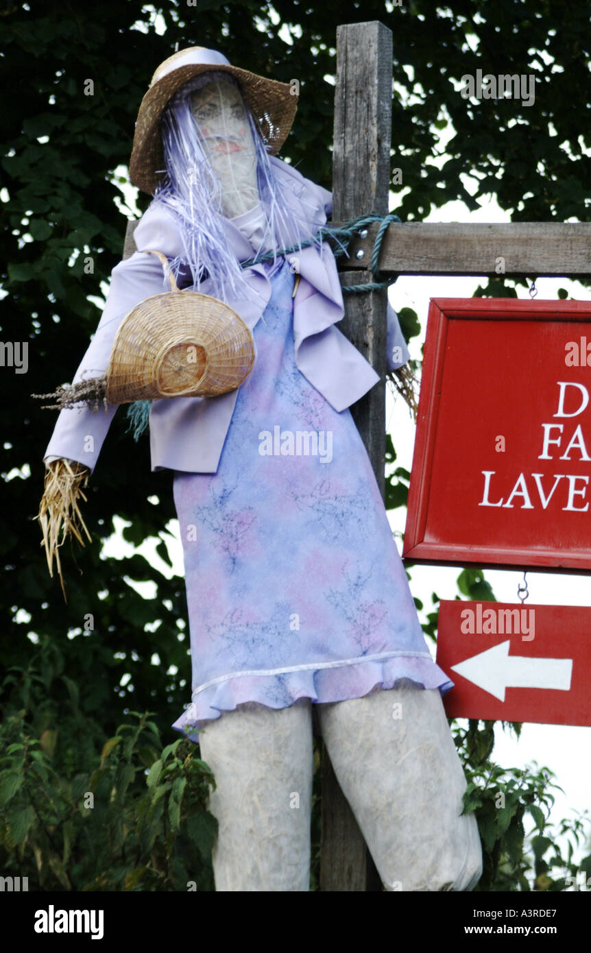 Clown scarecrow hi-res stock photography and images - Alamy