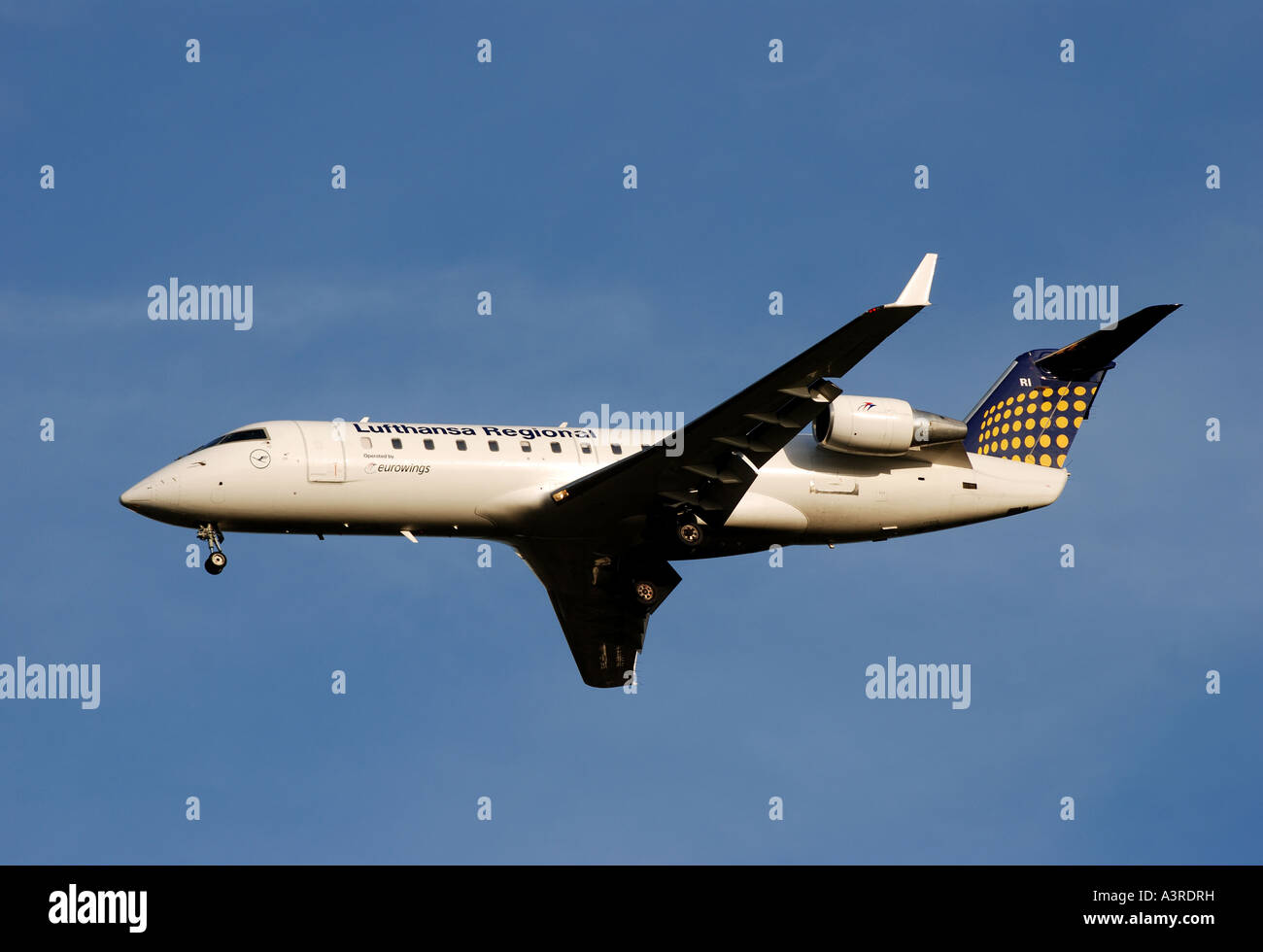 Canadair jet 200 hi-res stock photography and images - Alamy