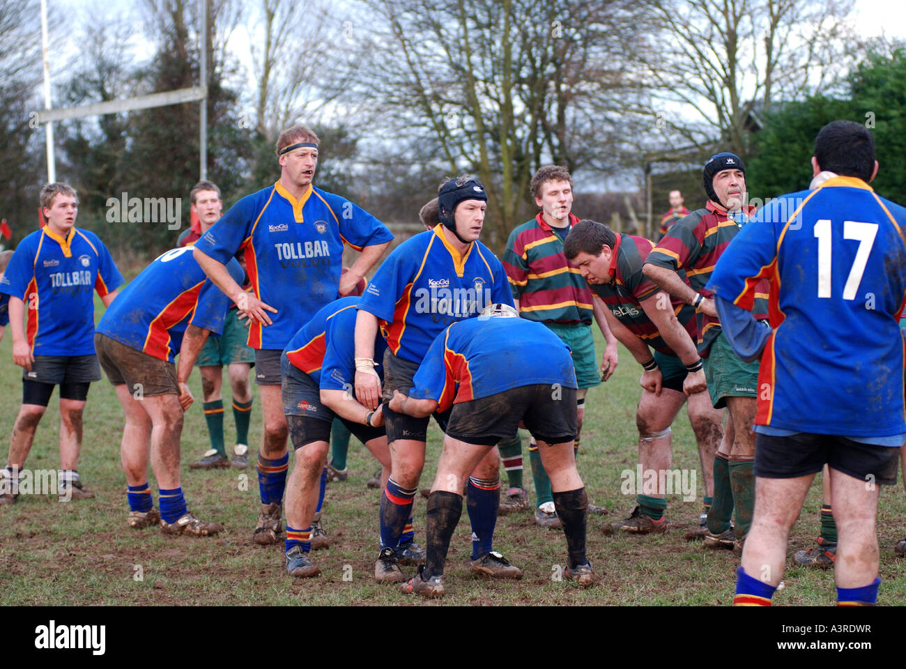 England rugby shirt hi-res stock photography and images - Alamy
