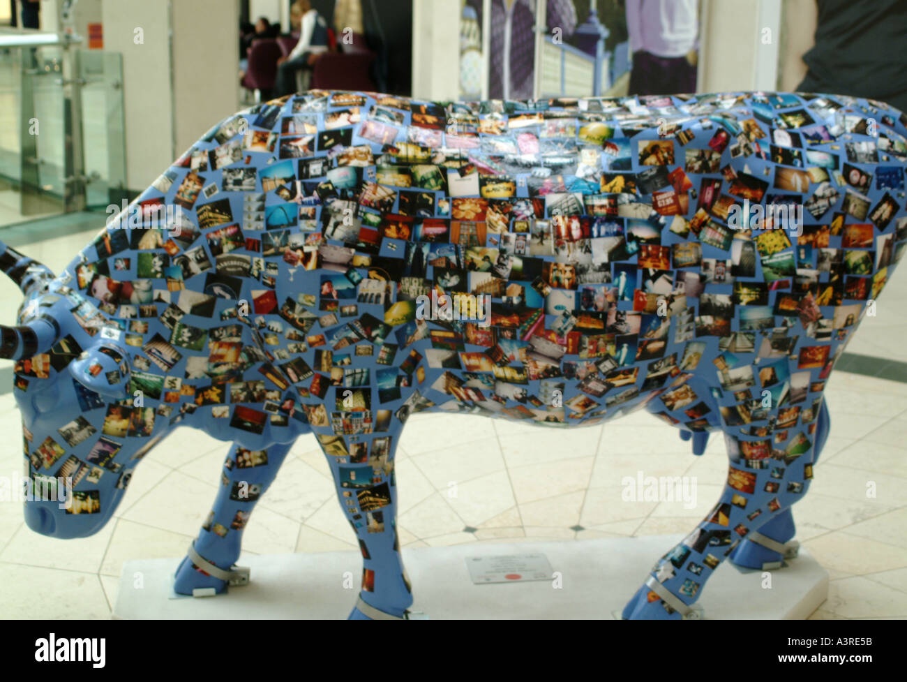 Cow Parade Manchester Stock Photo - Alamy