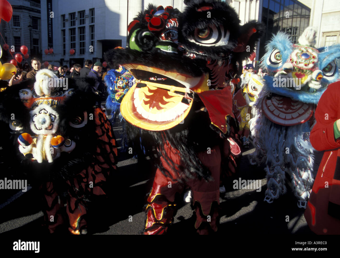 Dragon procession in the Chinese new year celebration Stock Photo - Alamy