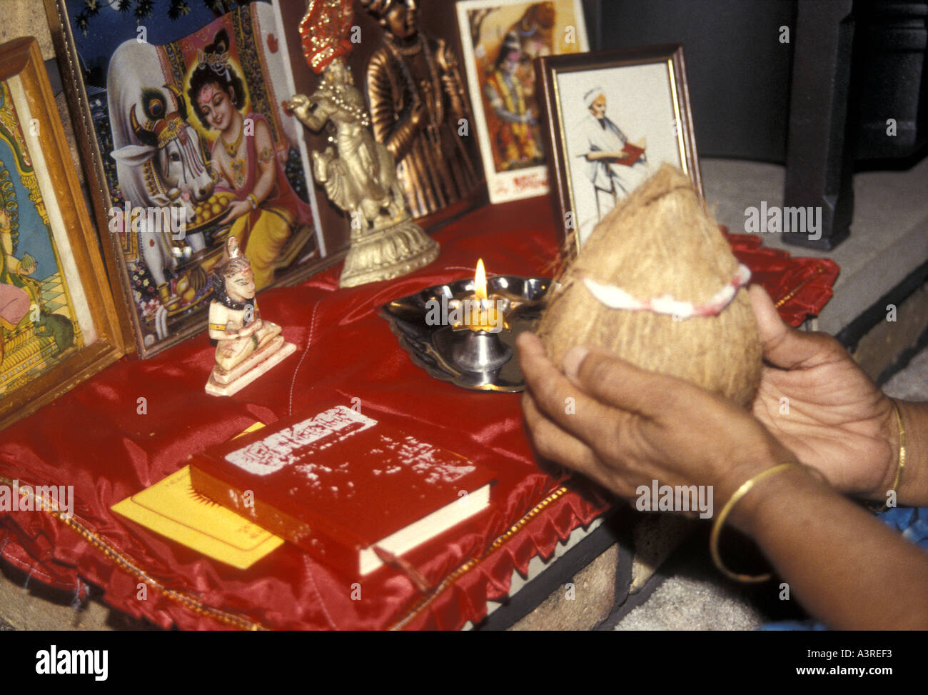 A Hindu woman places a coconut offering on a family shrine or mandir ...