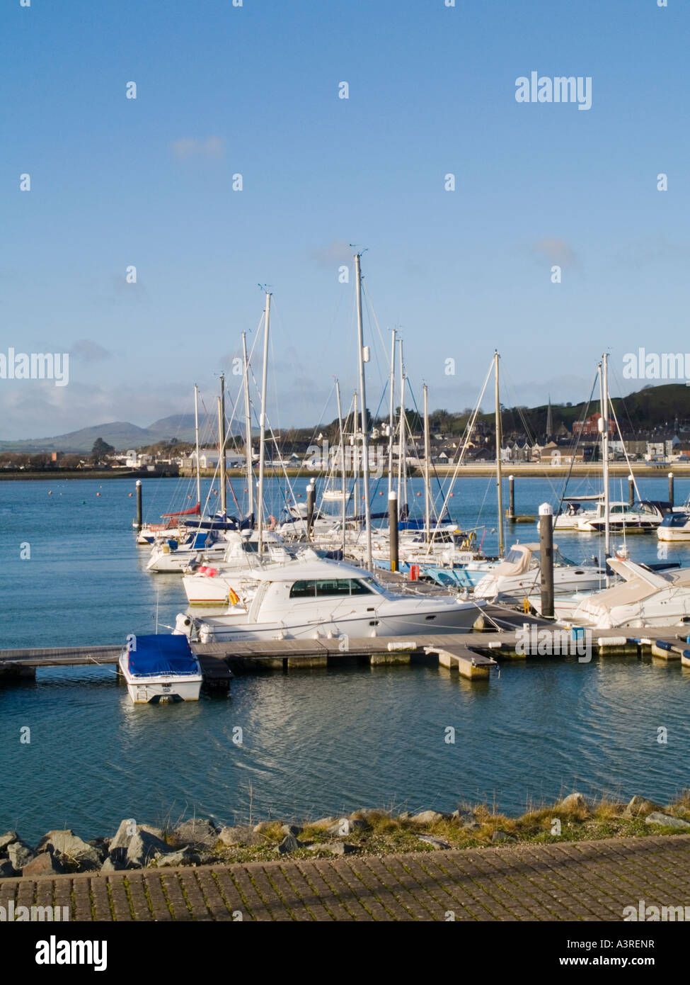 Pwllheli Gwynedd North Wales UK Moored boats in the marina in harbour ...