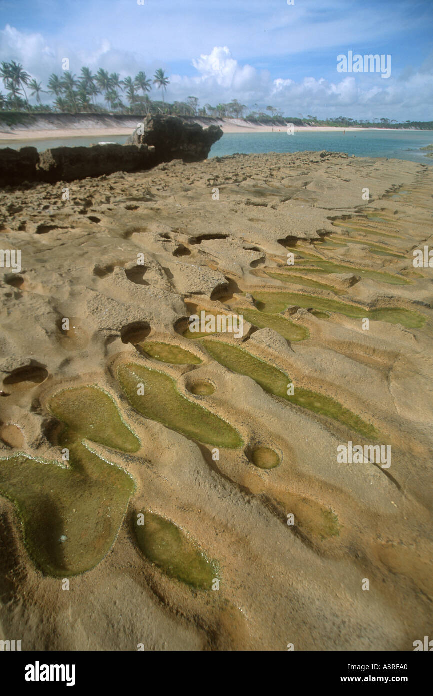 Natural limestone reef formations with beach in the background Muro ...