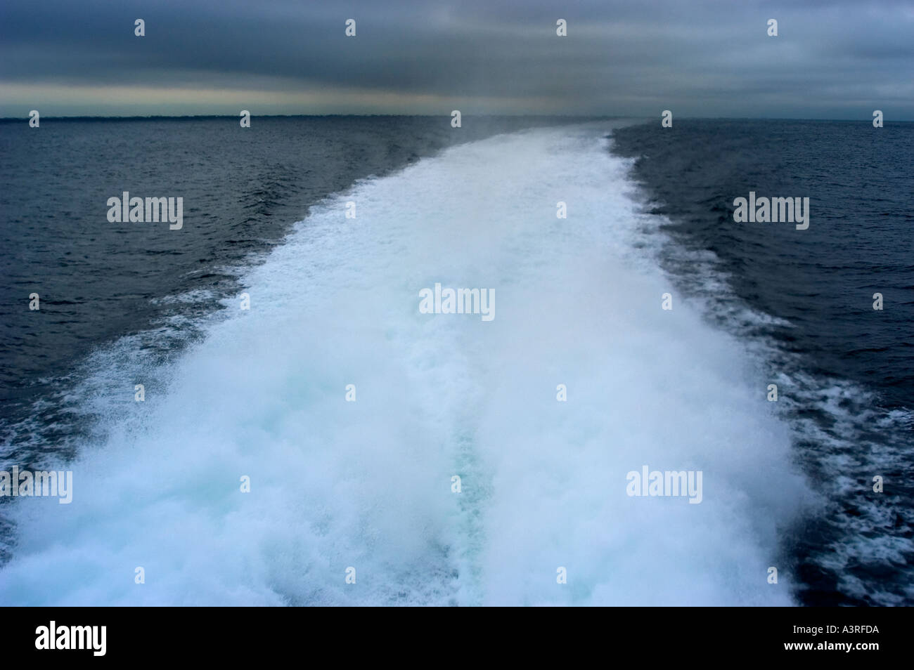 Wake Created by Victoria Clipper IV Puget Sound Washington Stock Photo ...