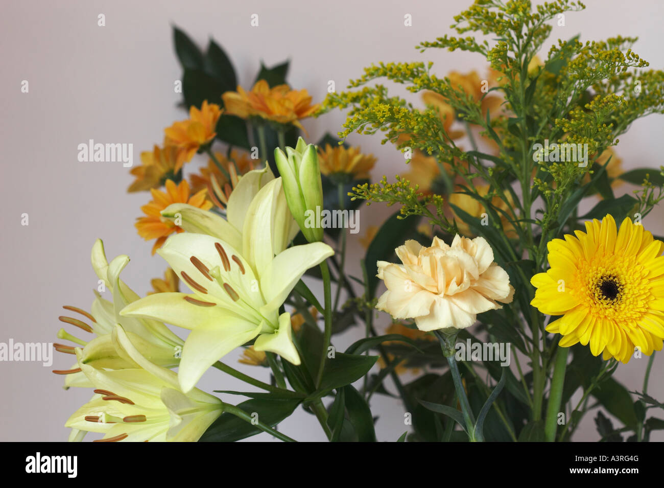 Lily cut hi-res stock photography and images - Alamy