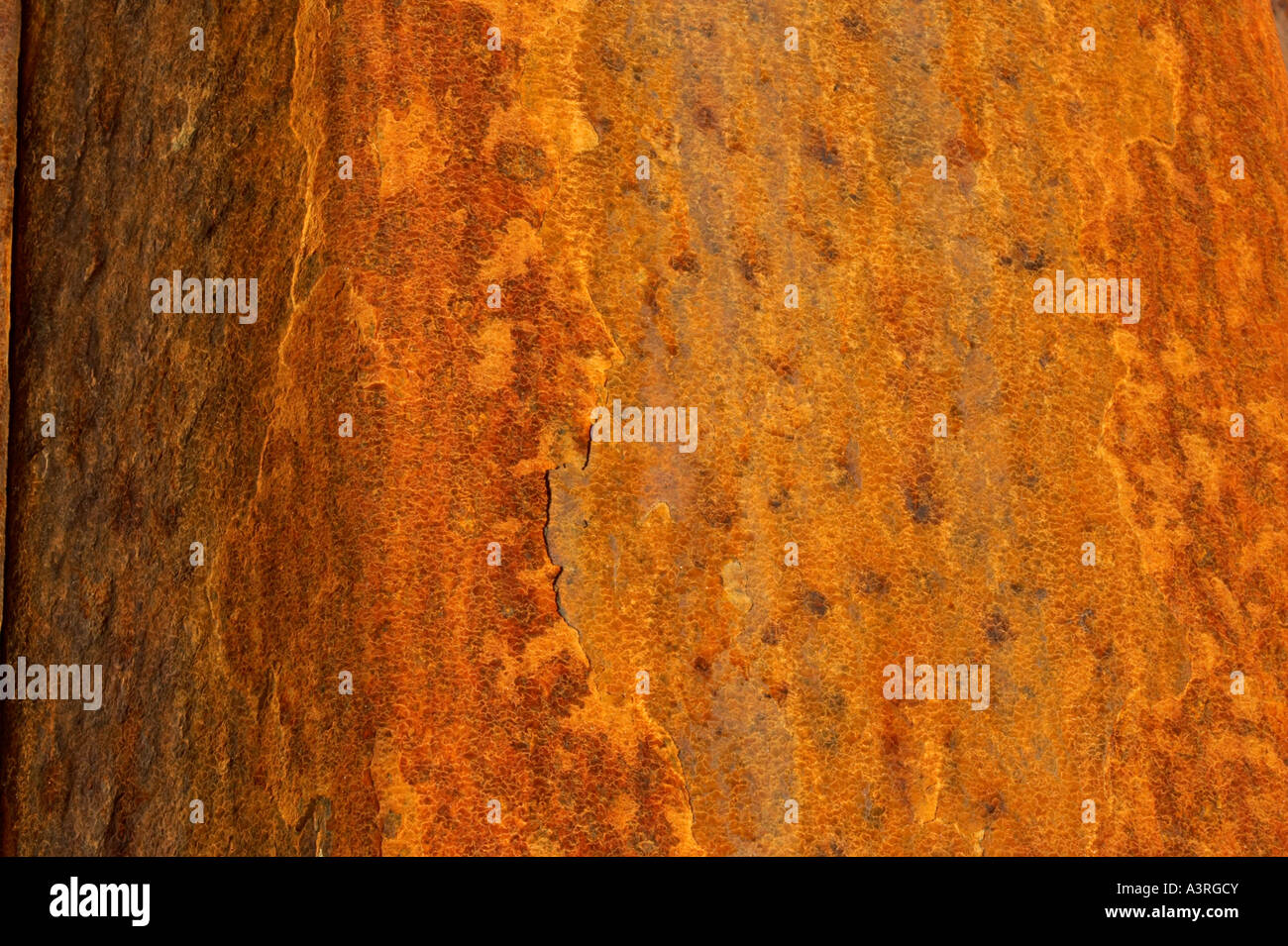 Gold and rust and orange hi-res stock photography and images - Alamy