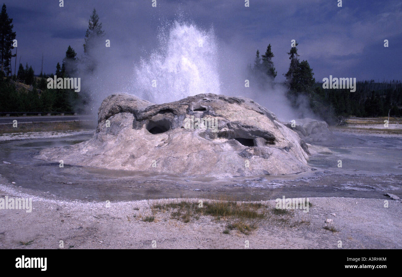 Grotto Geyser, Yellowstone National Park, Wyoming, USA Stock Photo - Alamy