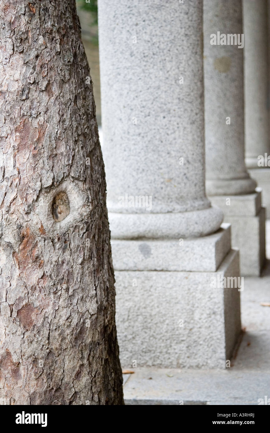 Granite columns hi-res stock photography and images - Alamy
