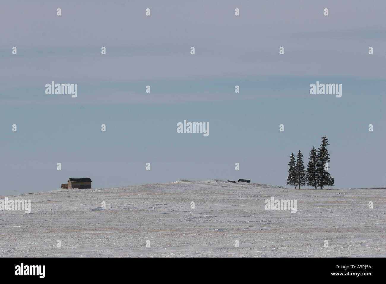 Old farm buildings and Evergreen trees on the Prairie in scenic ...