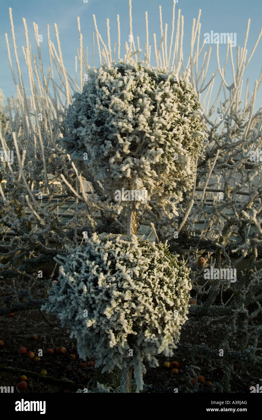 Topiary balls hi-res stock photography and images - Alamy