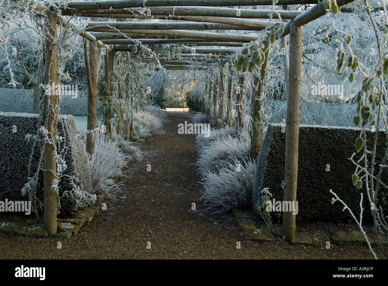 Arbour uk hi-res stock photography and images - Alamy