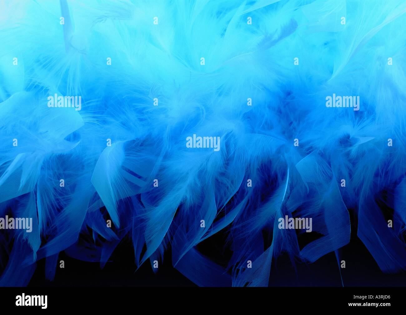 Feathers Fabrics Animal Patterns Stock Photo - Alamy