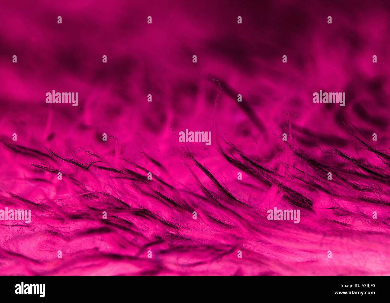 Feathers Fabrics Animal Patterns Stock Photo - Alamy