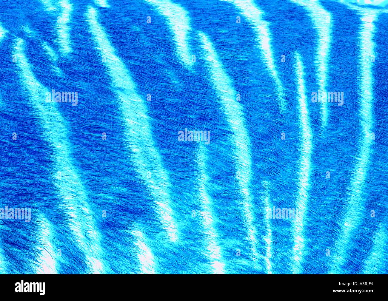 Feathers Fabrics Animal Patterns Stock Photo - Alamy