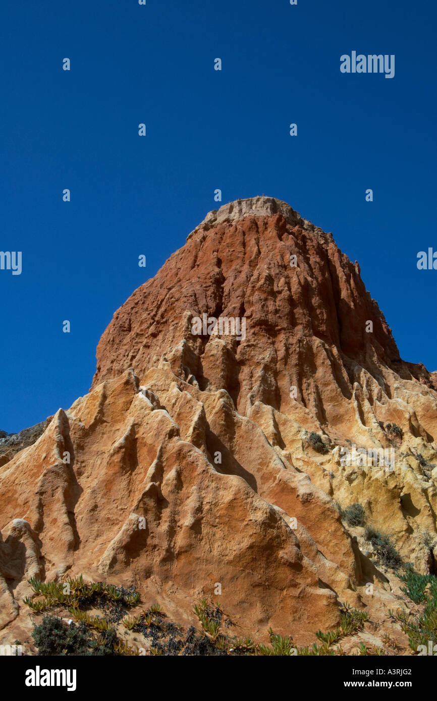 Naturally occurring patterns hi-res stock photography and images - Alamy