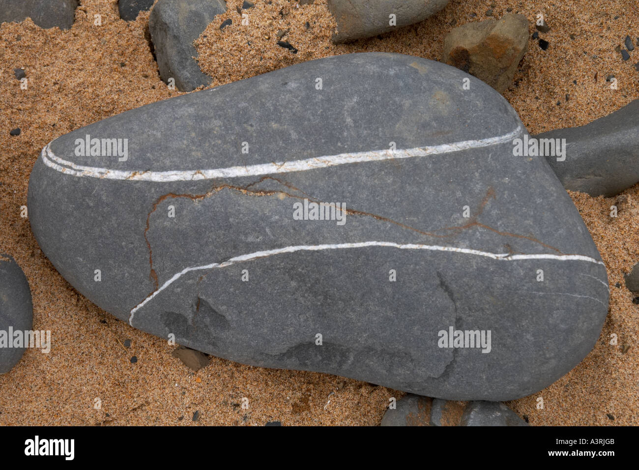 Individual stone with prominent marking on Castelejo Beach, Algarve ...