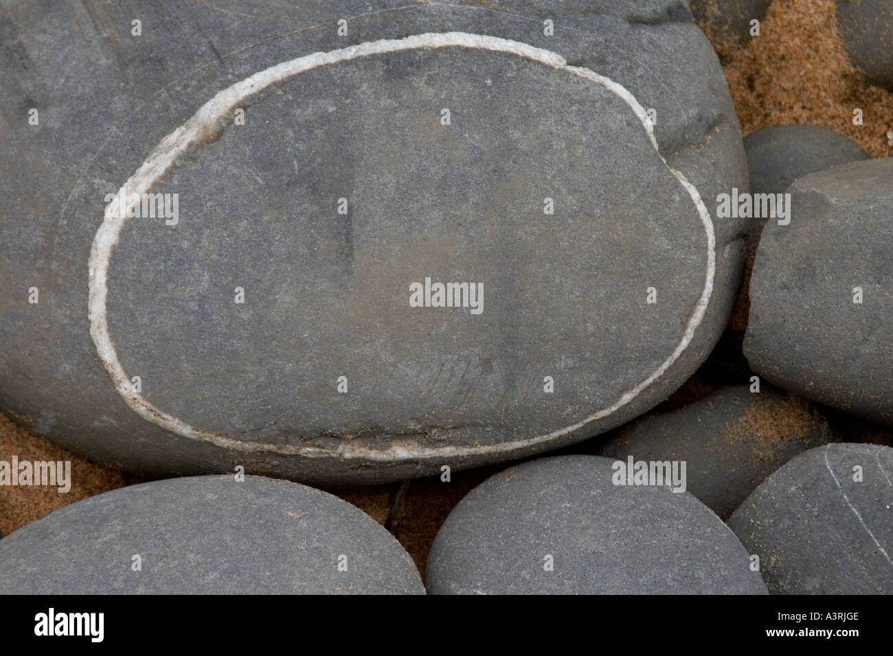 Individual stone with prominent marking on Castelejo Beach, Algarve ...