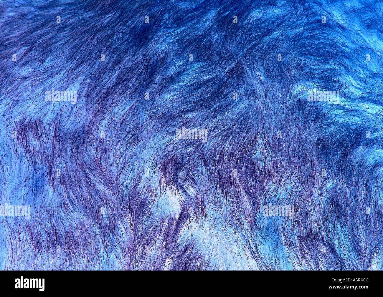 Feathers Fabrics Animal Patterns Stock Photo - Alamy