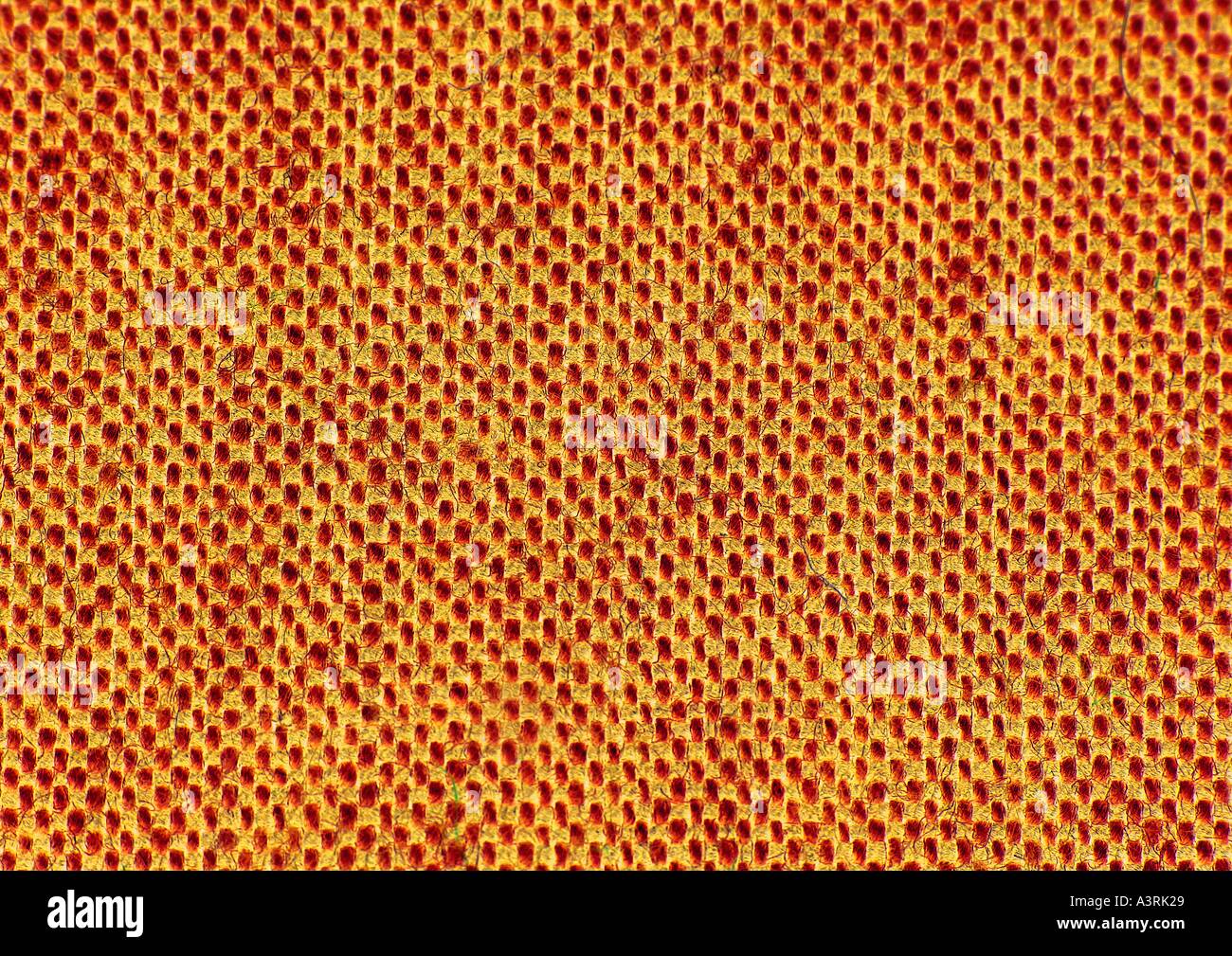 Feathers Fabrics Animal Patterns Stock Photo - Alamy