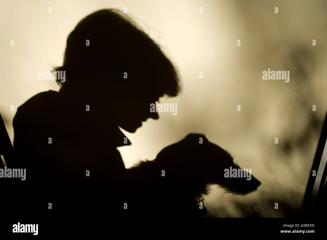Dog & Owner Shadow Stock Photo - Alamy