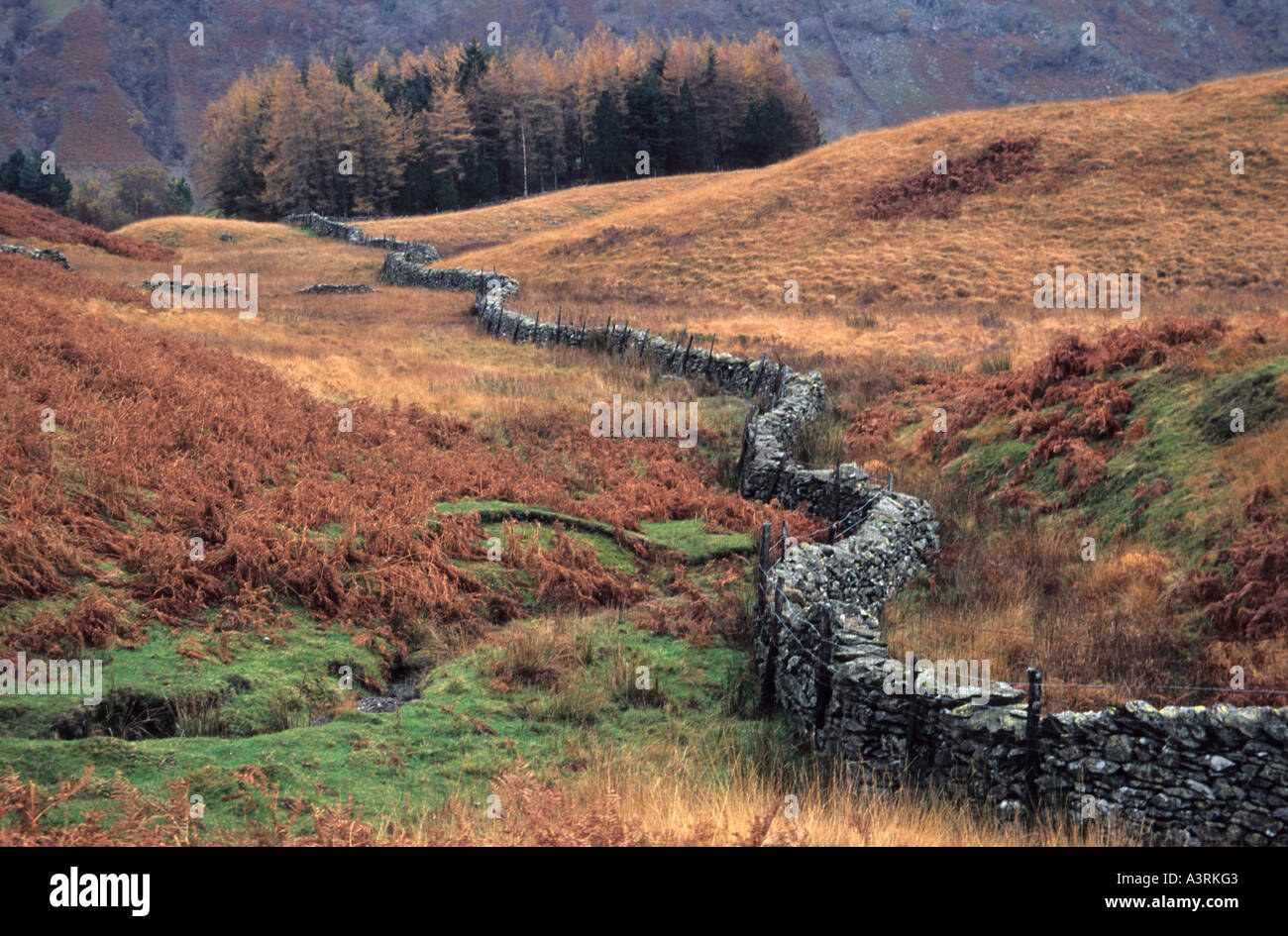 Puddingstone hi-res stock photography and images - Alamy