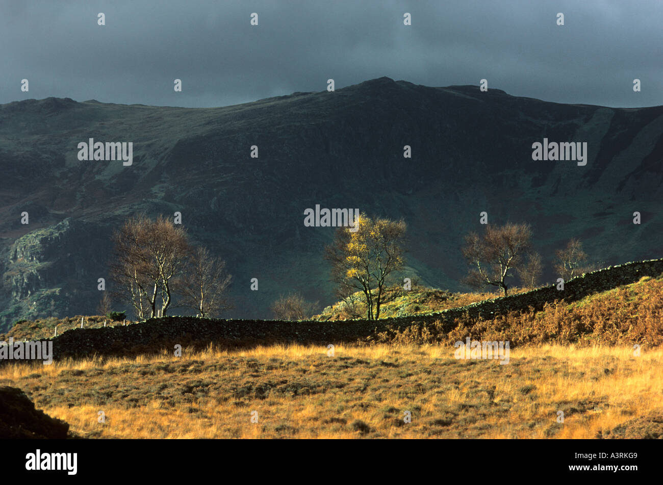 Grange fell lake district hi-res stock photography and images - Alamy