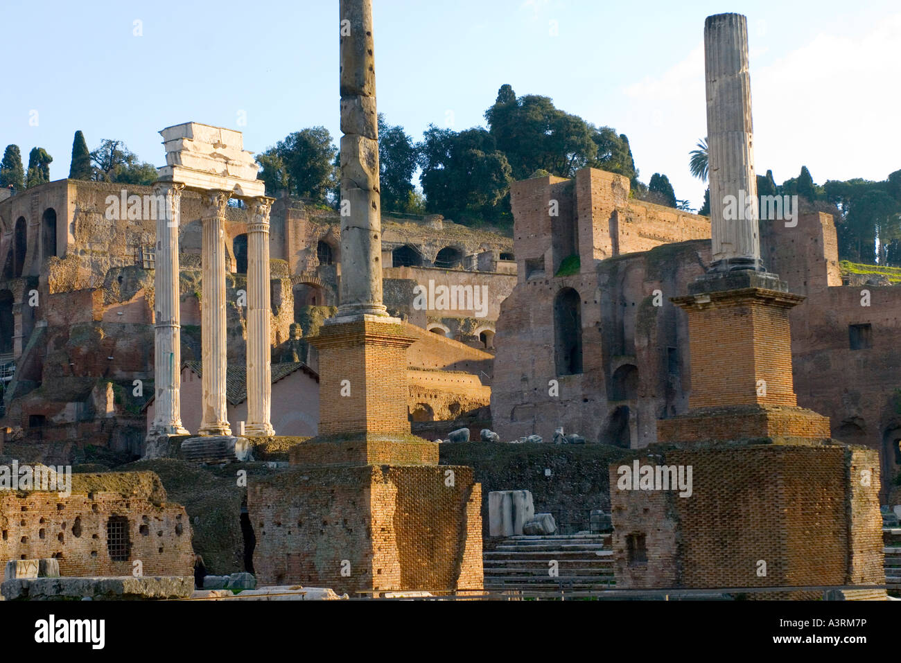 The Forum Ancient Rome Stock Photo - Alamy