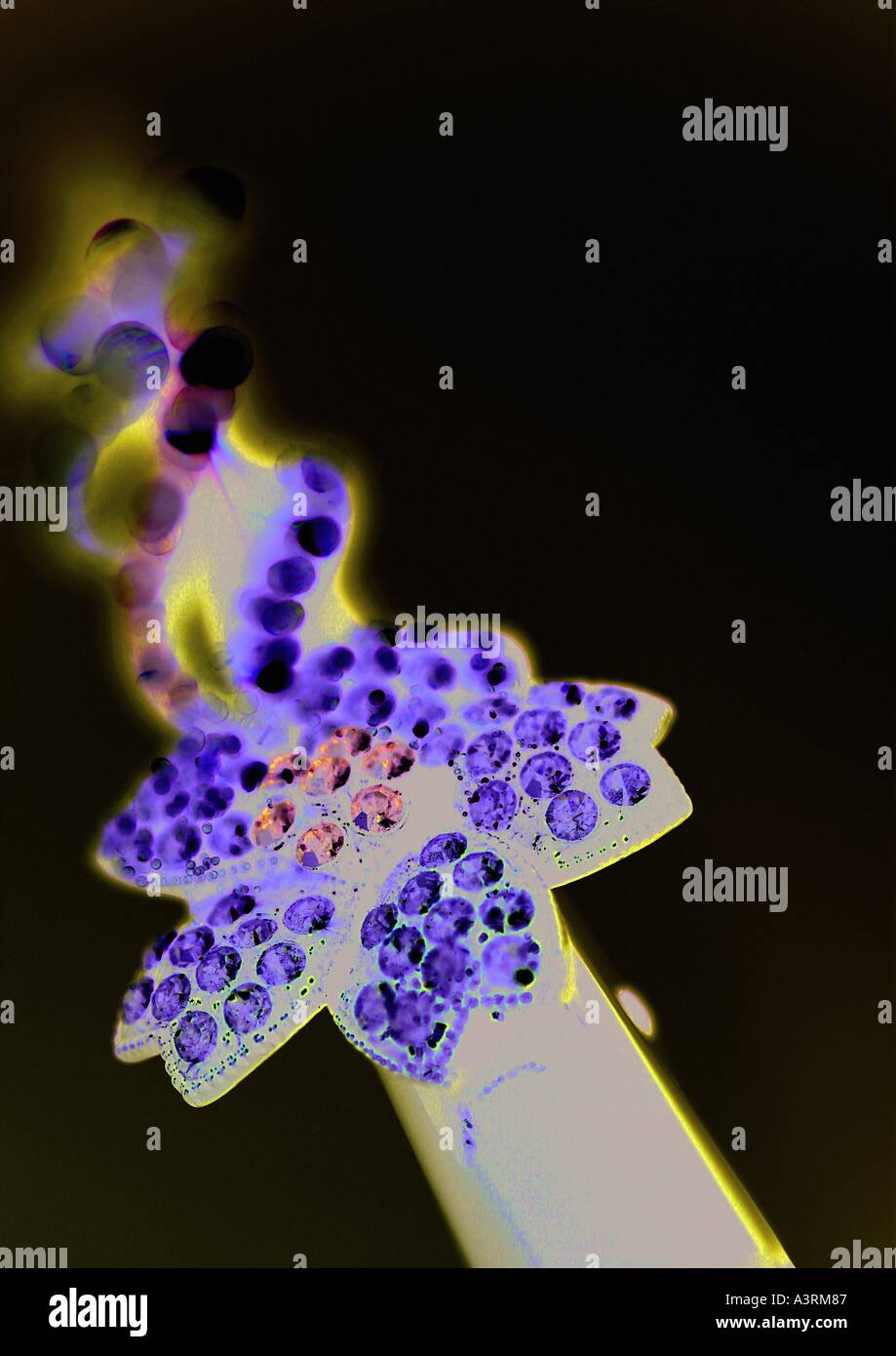 Blurred things hi-res stock photography and images - Alamy