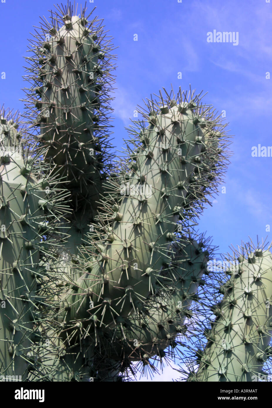 Giant metal cactus at Jardin de Cactus Lanzarote designed by cesar ...
