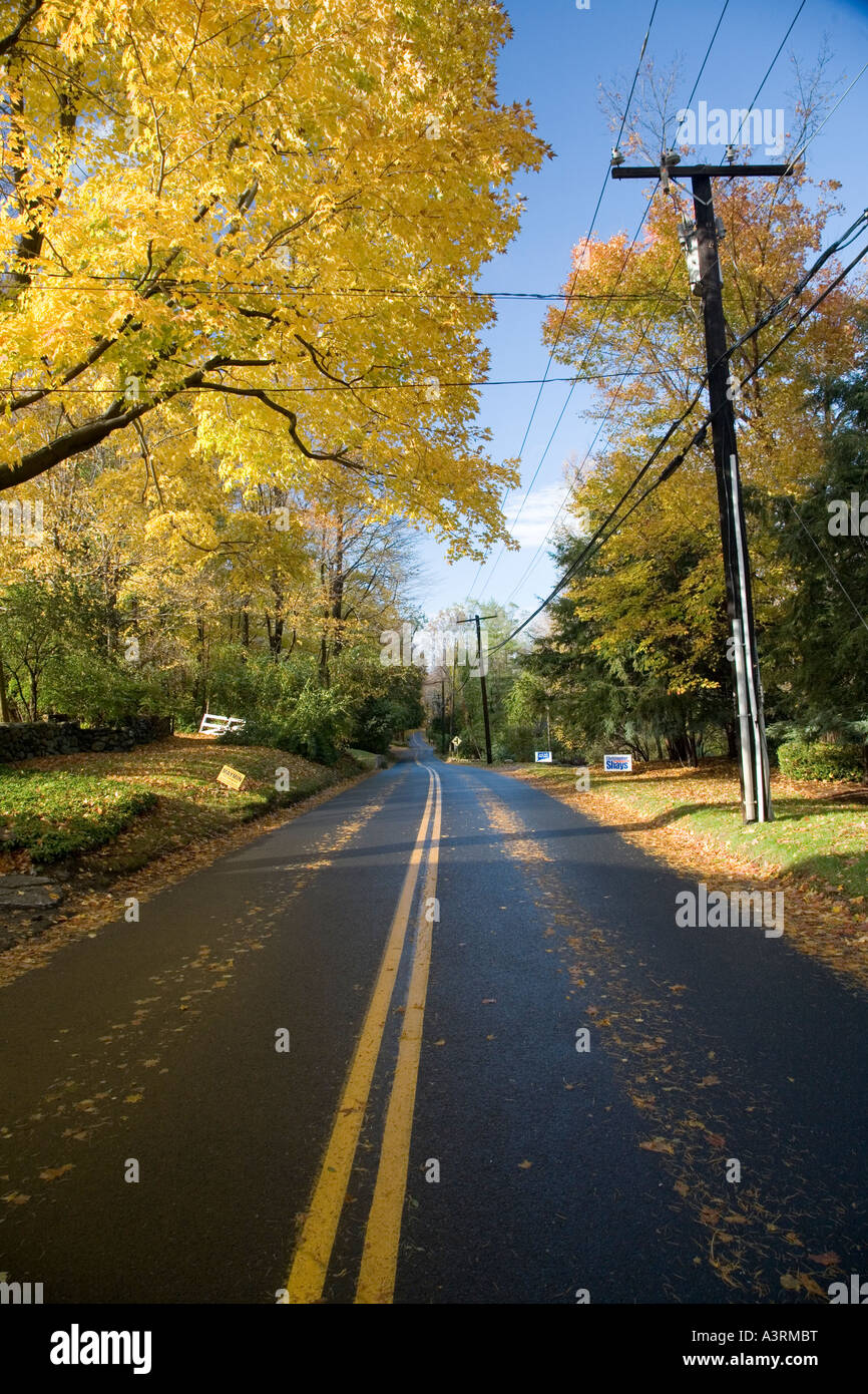 Secondary road in fall Connecticut USA Stock Photo - Alamy