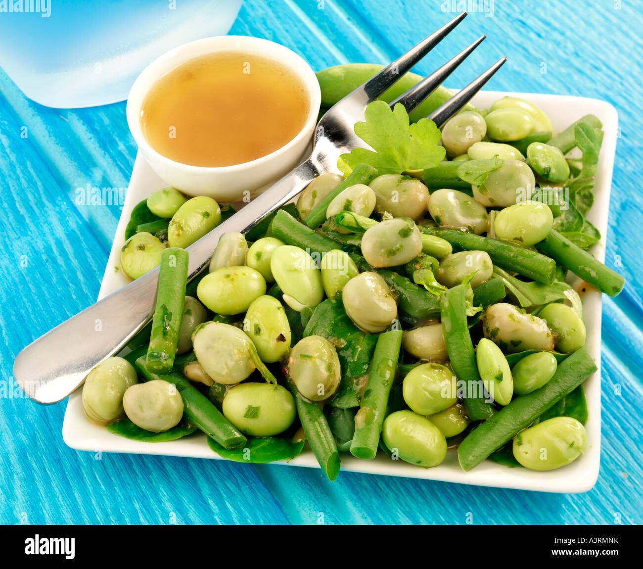 SOYA AND GREEN BEAN SALAD WITH VINAIGRETTE SALAD DRESSING Stock Photo ...