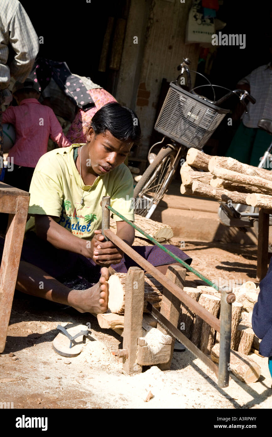 Cutting Thanaka Wood Murraya Exotica, Bago, Myanmar Stock Photo - Alamy