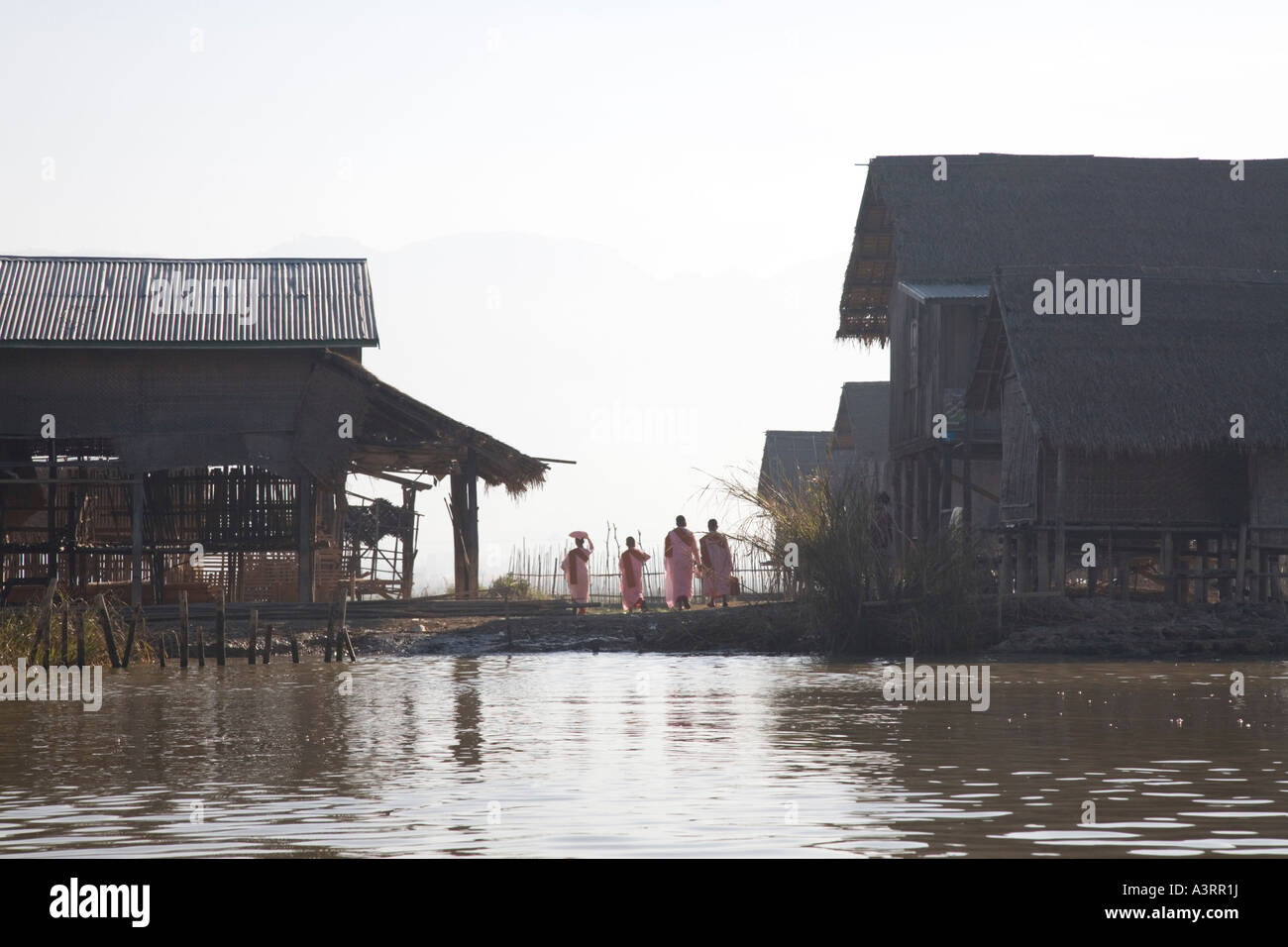 Nuns and early morning mist, Inle Lake, Myanmar Stock Photo - Alamy